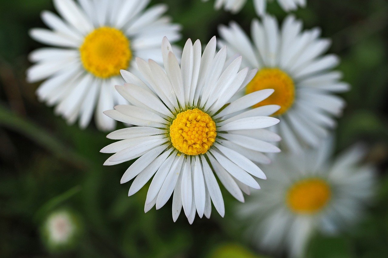 Menstrual Suppression: Is It Safe to Skip Your Period? - Private ...